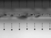 IC Measure: Software for Image Capture and On-Screen Measurement