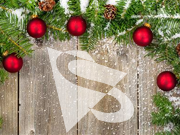 IC Measure: Software for Image Capture and On-Screen Measurement